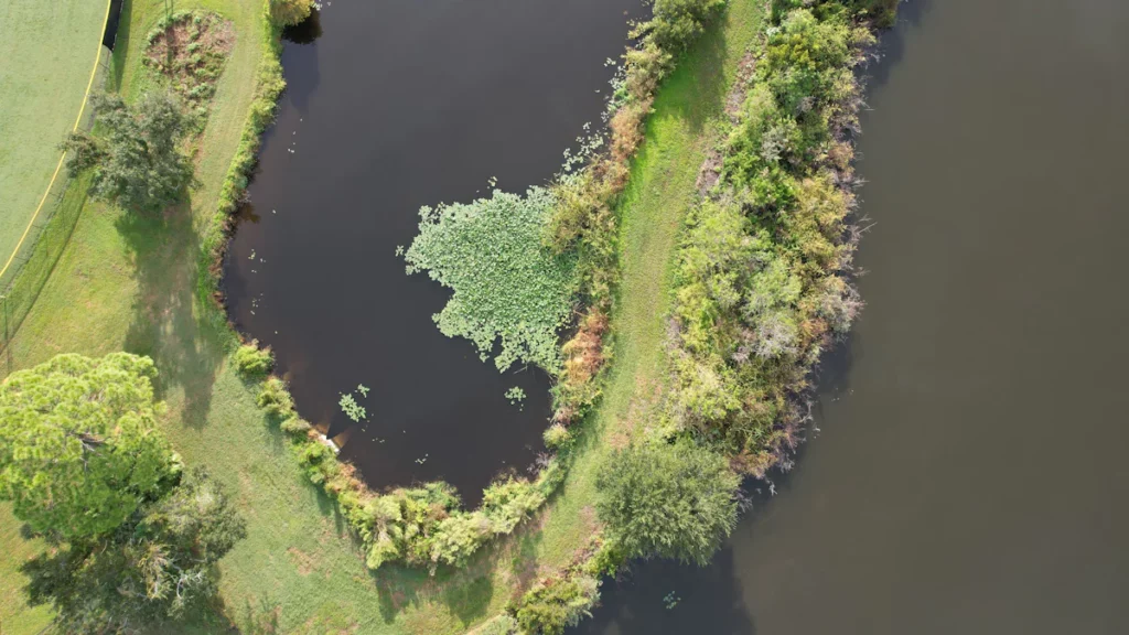 Different Spatial Data Types Explained