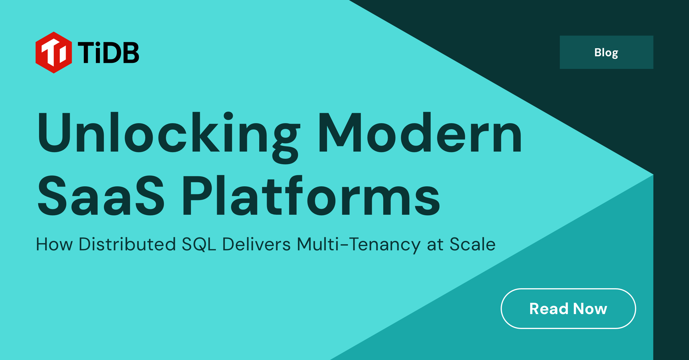 Modern SaaS Platforms: How to Unlock Multi-Tenancy at Scale