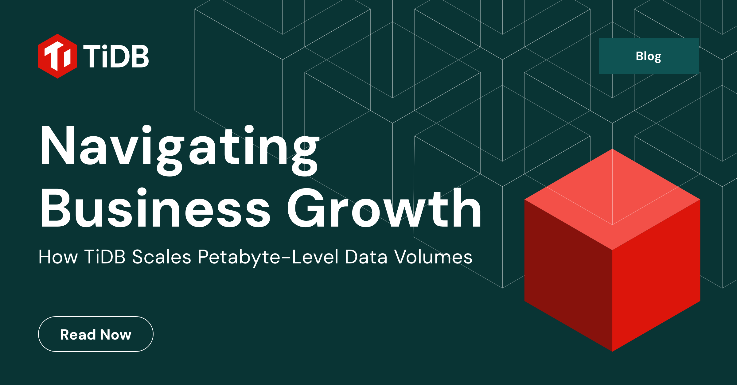 Business Growth: How TiDB Scales Petabyte-Level Data Volumes